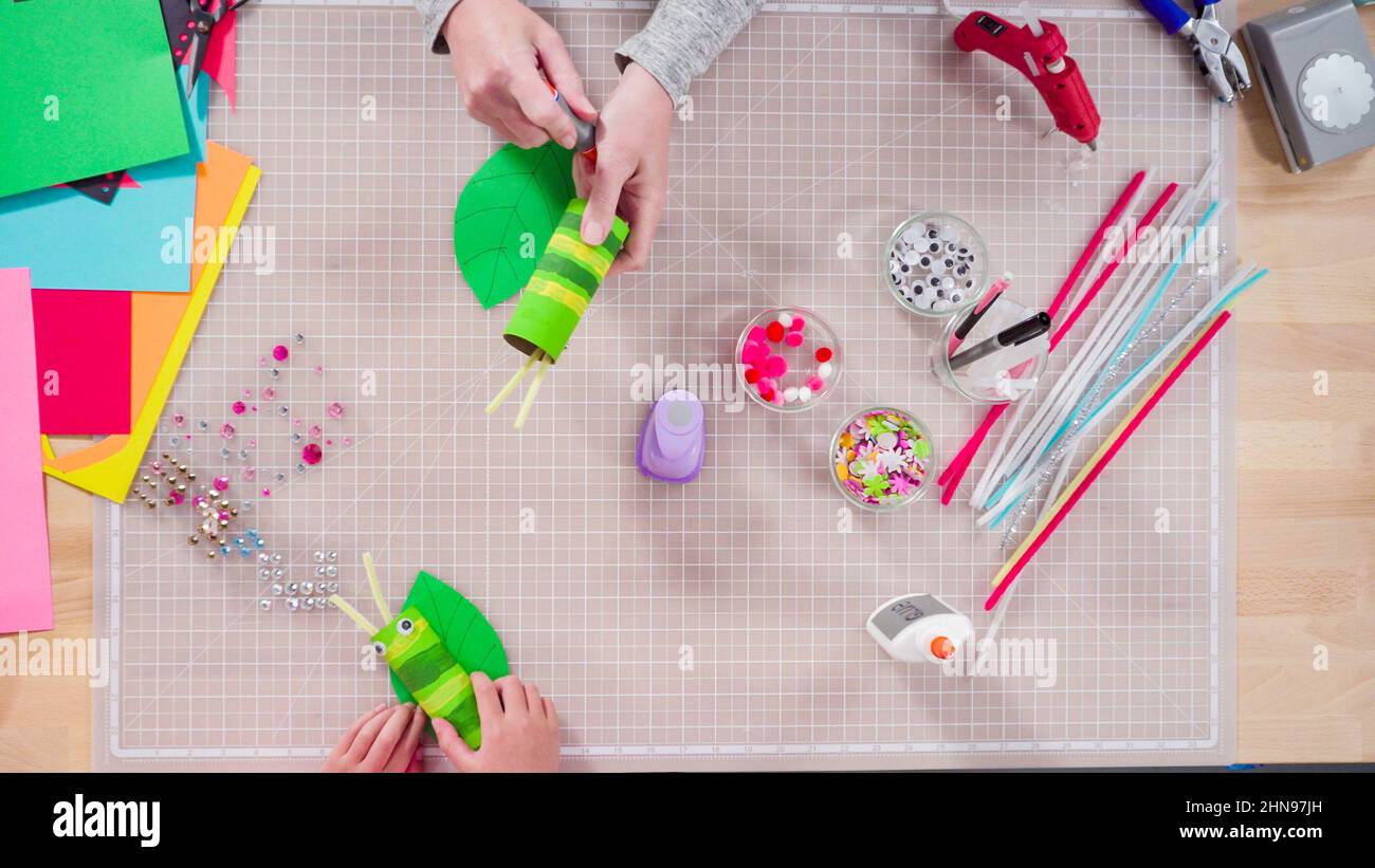 Flat lay. Kids papercraft. Making paper bugs out of the empty toilet ...