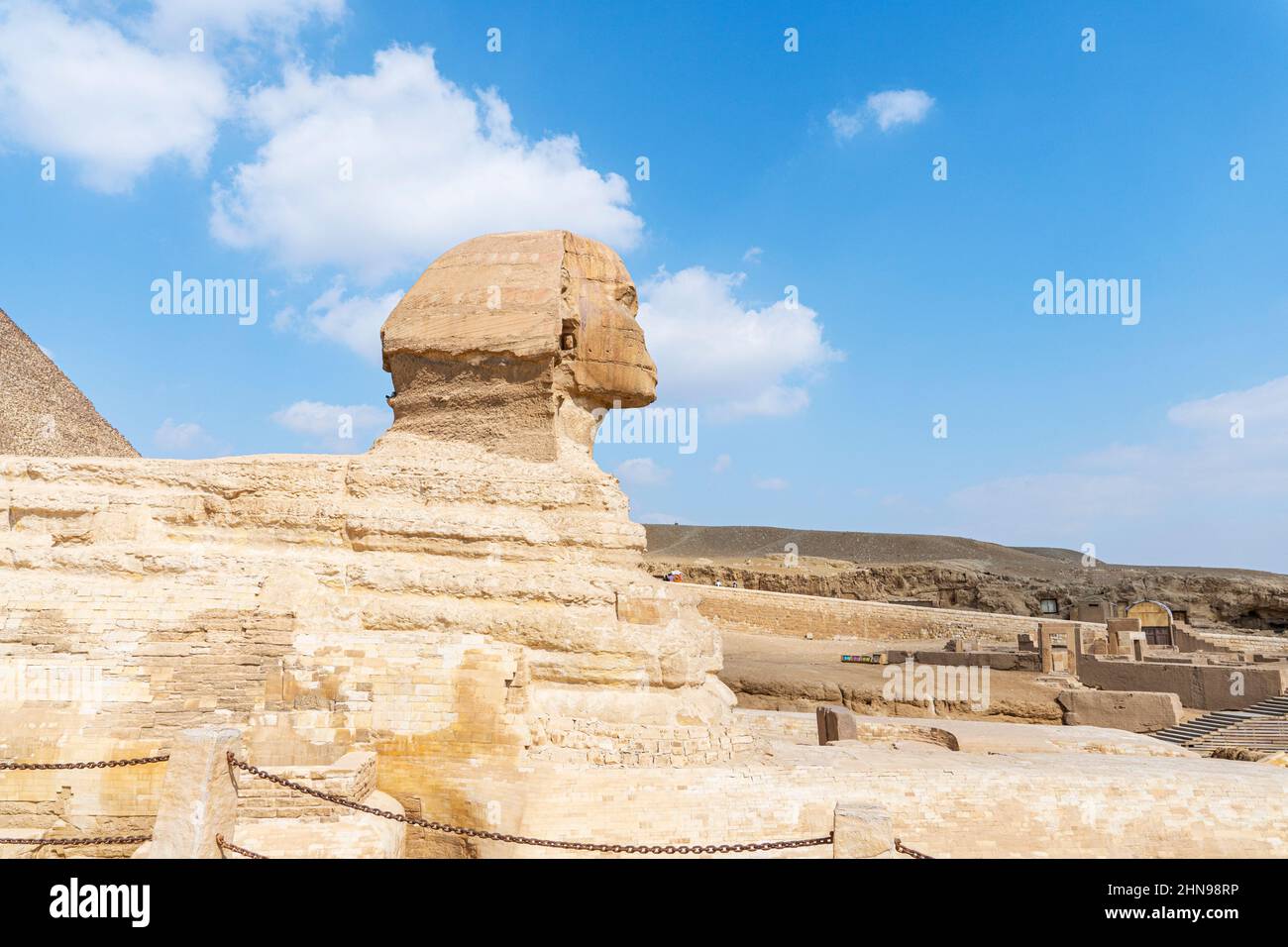 Sphinx Egypt portrait. Portrait of the Great Sphinx of Egypt close ...