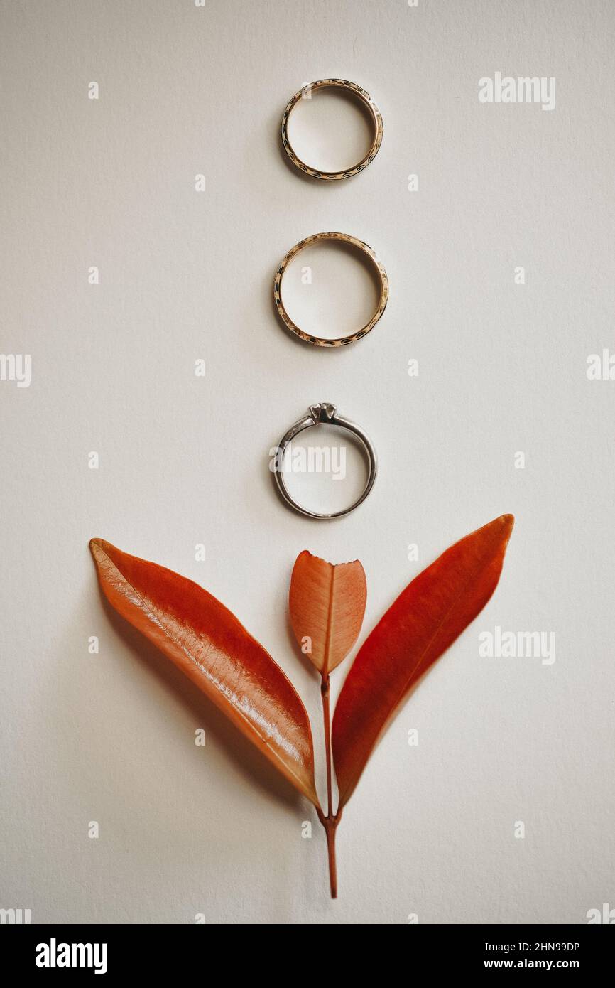 wedding ring a symbol of unity 0000 Stock Photo - Alamy