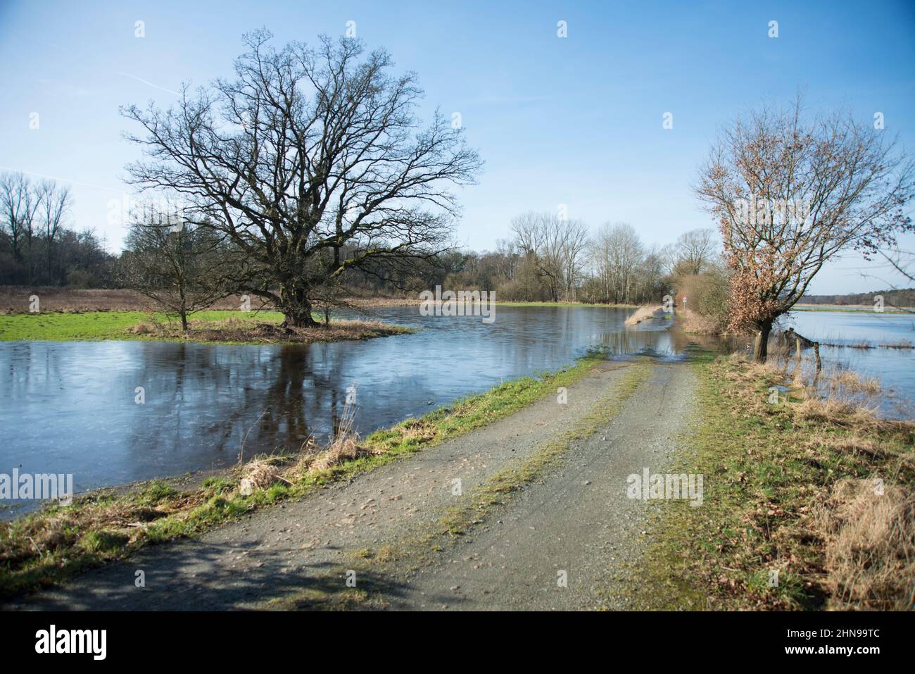 Flooded street and trees with water Stock Photo - Alamy