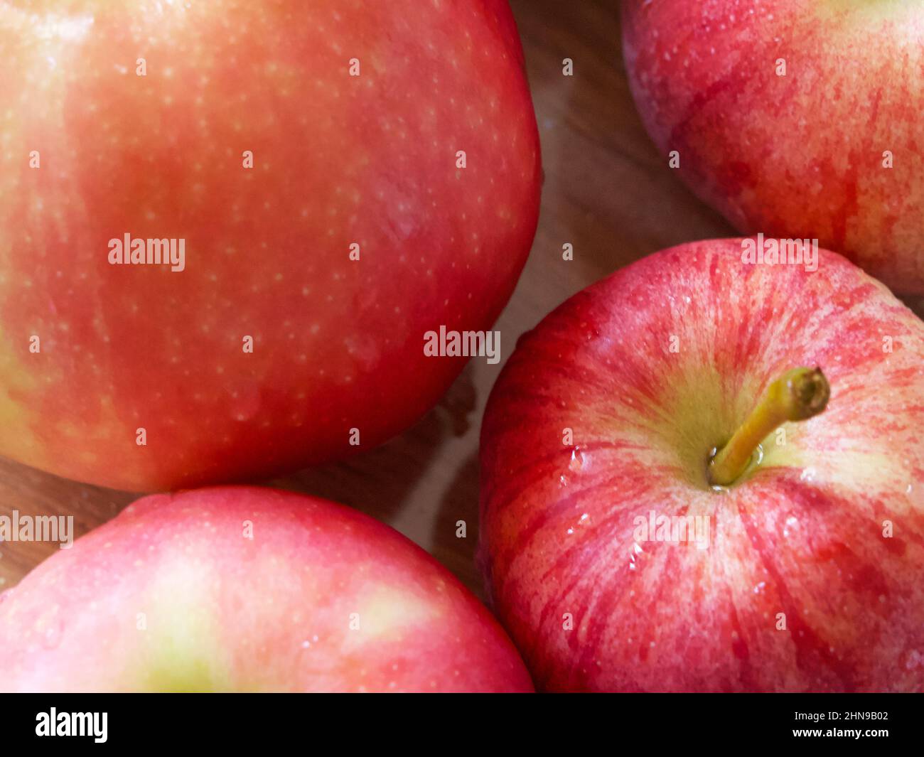 Macro photo of ripe red apples of gala and Ligol varieties. Apple close ...