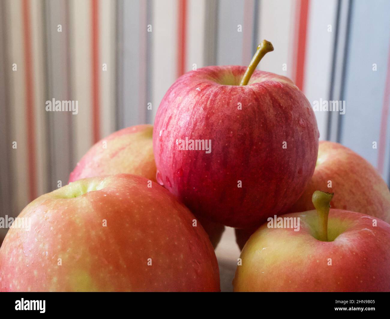 A few ripe striped apples, a close-up shot. Apples of the gala and ...
