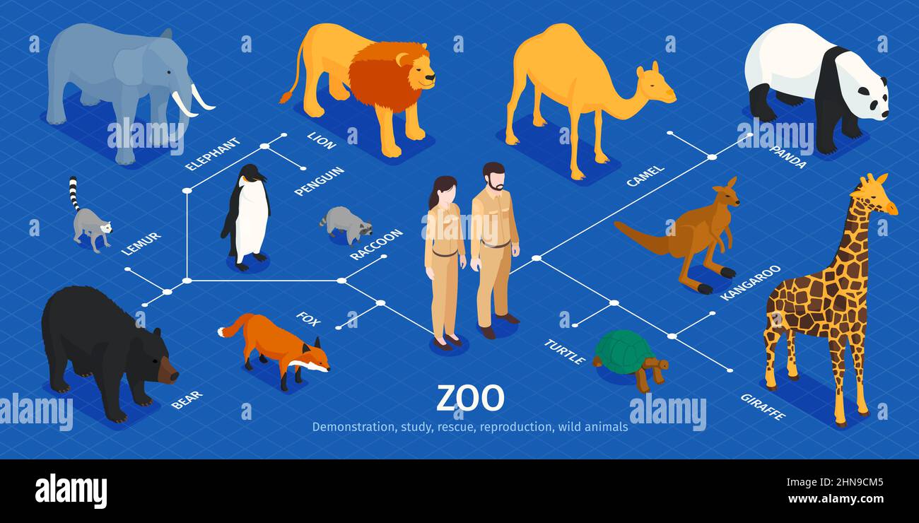 Human Zoo Stock Vector Images - Alamy