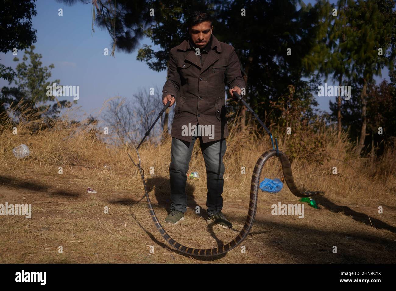 Kathmandu, Nepal. 15th Feb, 2022. Snake rescuer Subodh Raj Acharya and ...