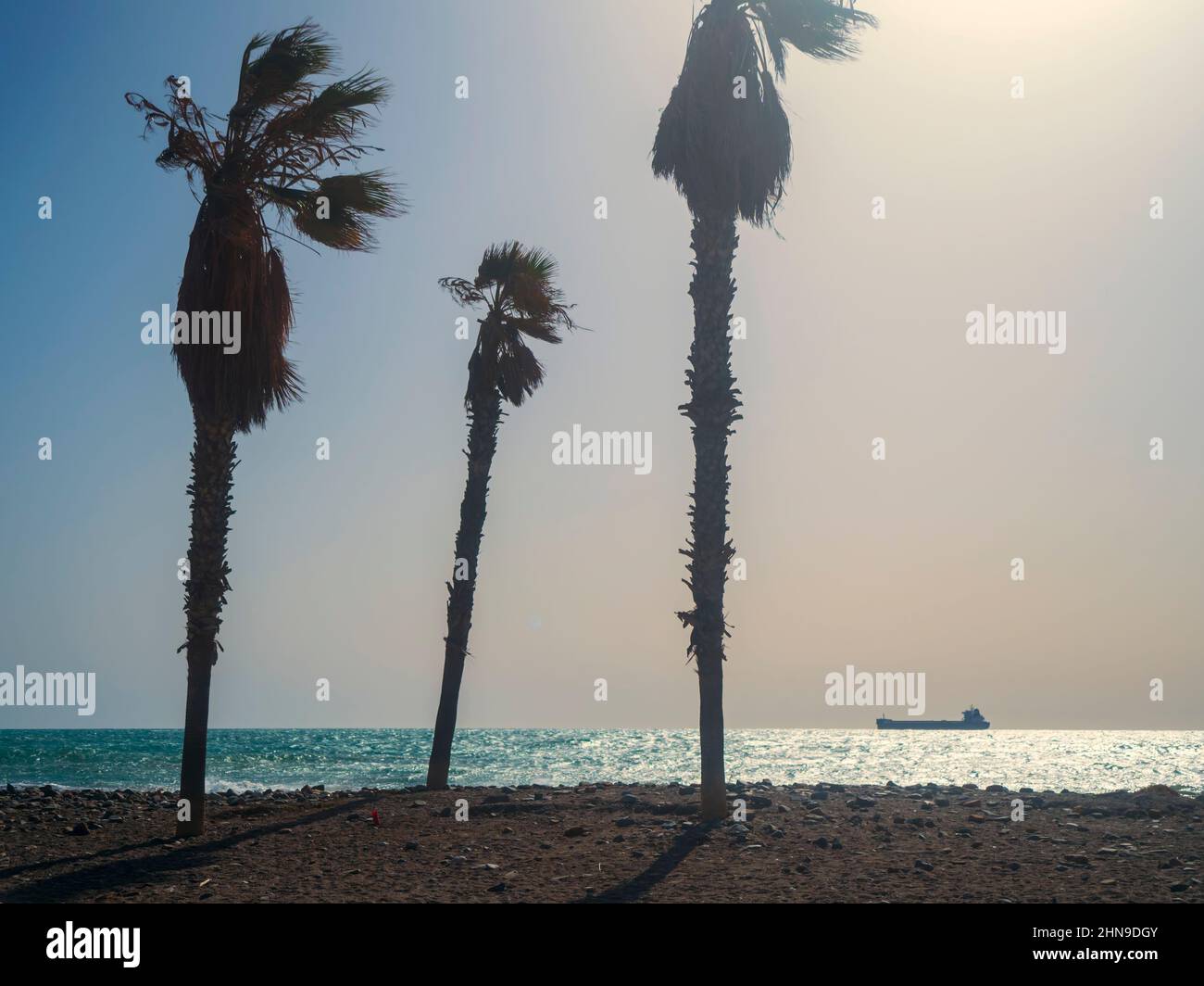 Transport boat on the horizon with palm trees on the beach shore Stock ...