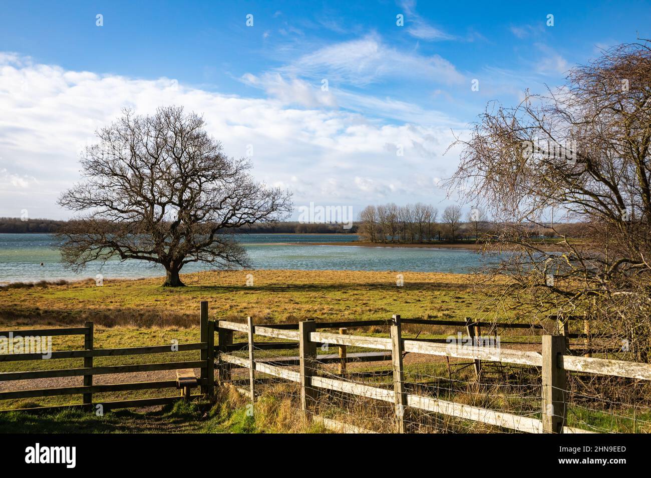 Rutland water shoreline hi-res stock photography and images - Alamy