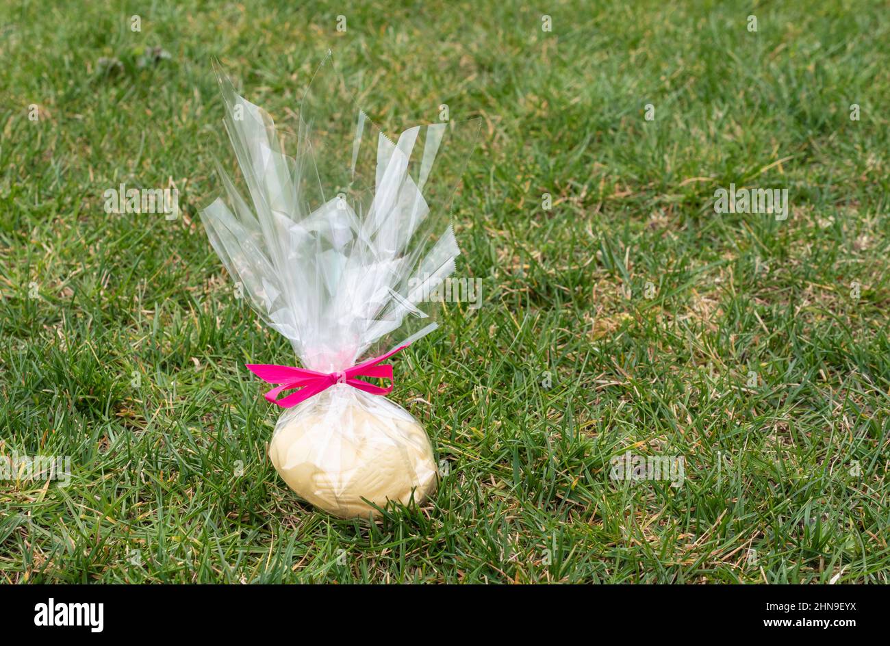 White chocolate Easter egg in the garden Stock Photo - Alamy