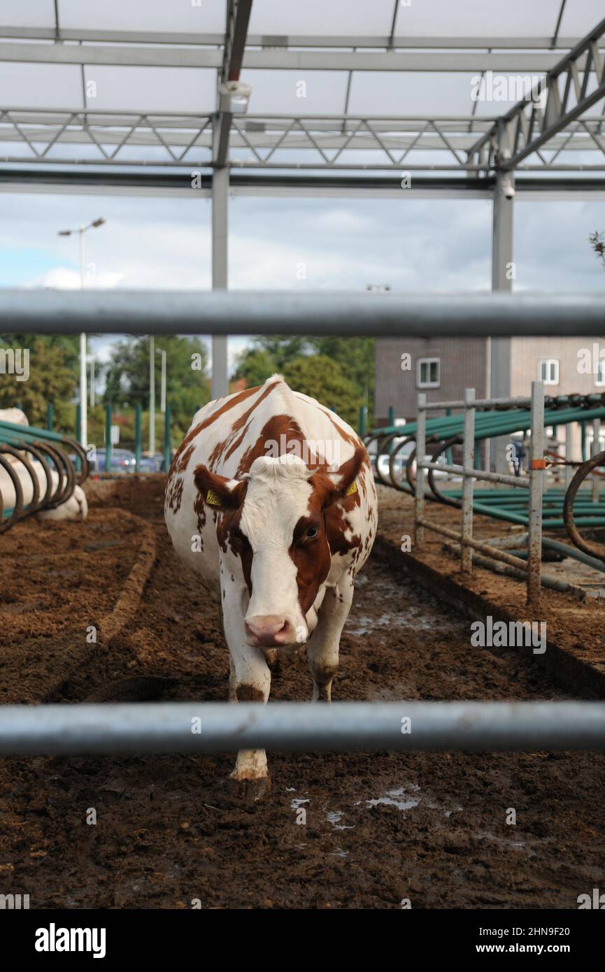 Floating farm rotterdam hi-res stock photography and images - Alamy