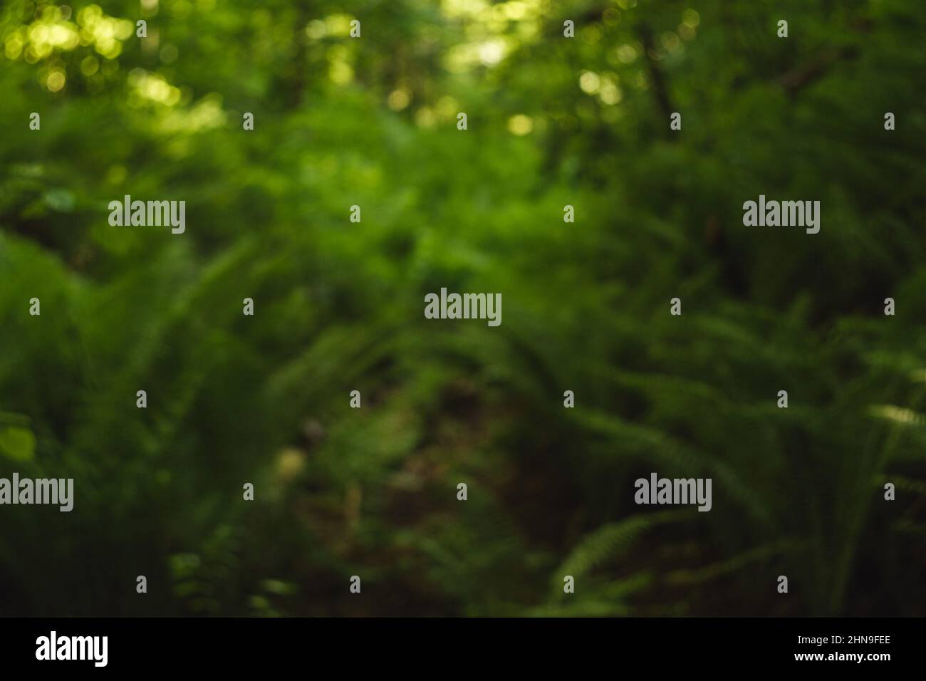Abstract spotted background place hi-res stock photography and images ...