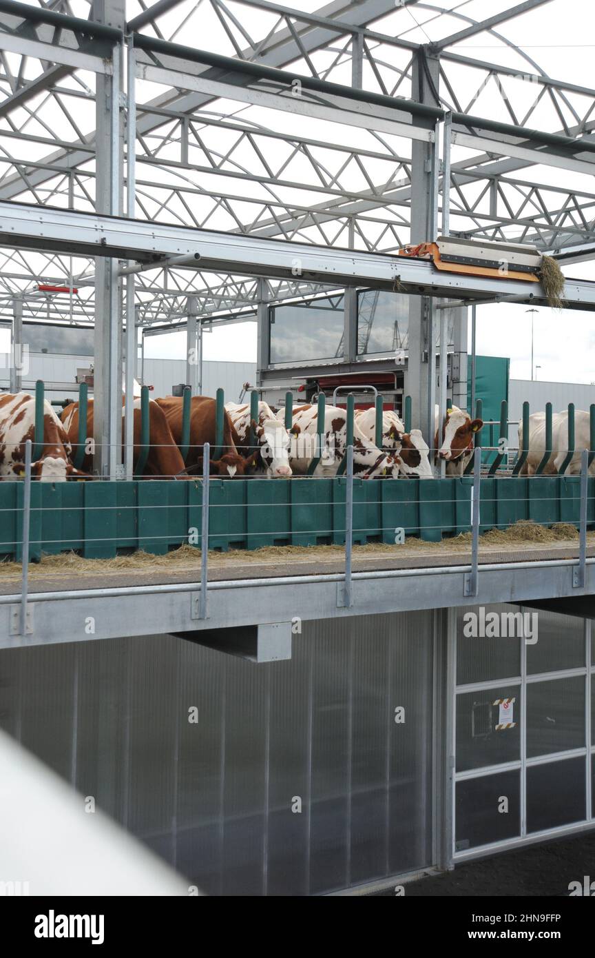 Floating farm rotterdam hi-res stock photography and images - Alamy