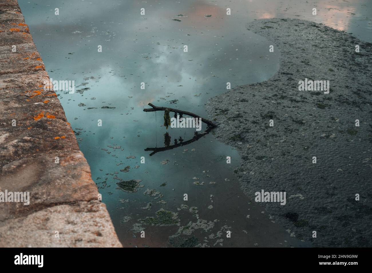 Mud stick hi-res stock photography and images - Alamy