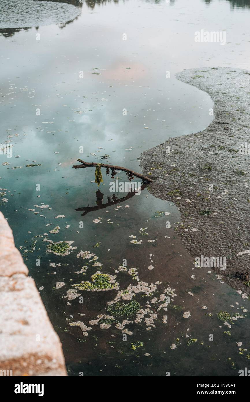 Mud stick hi-res stock photography and images - Alamy