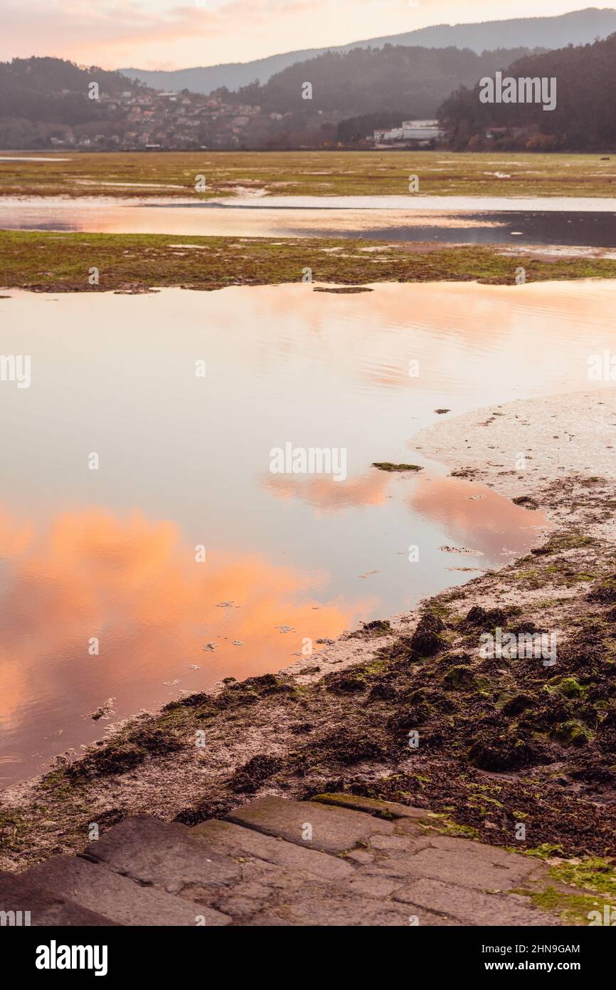 Swamp mud detail hi-res stock photography and images - Alamy