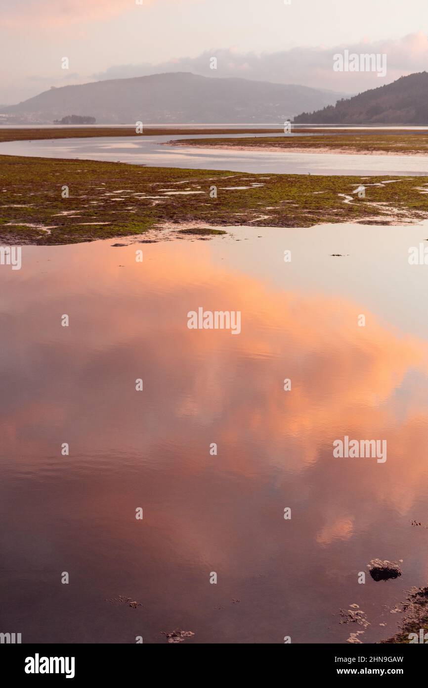 Swamp mud detail hi-res stock photography and images - Alamy