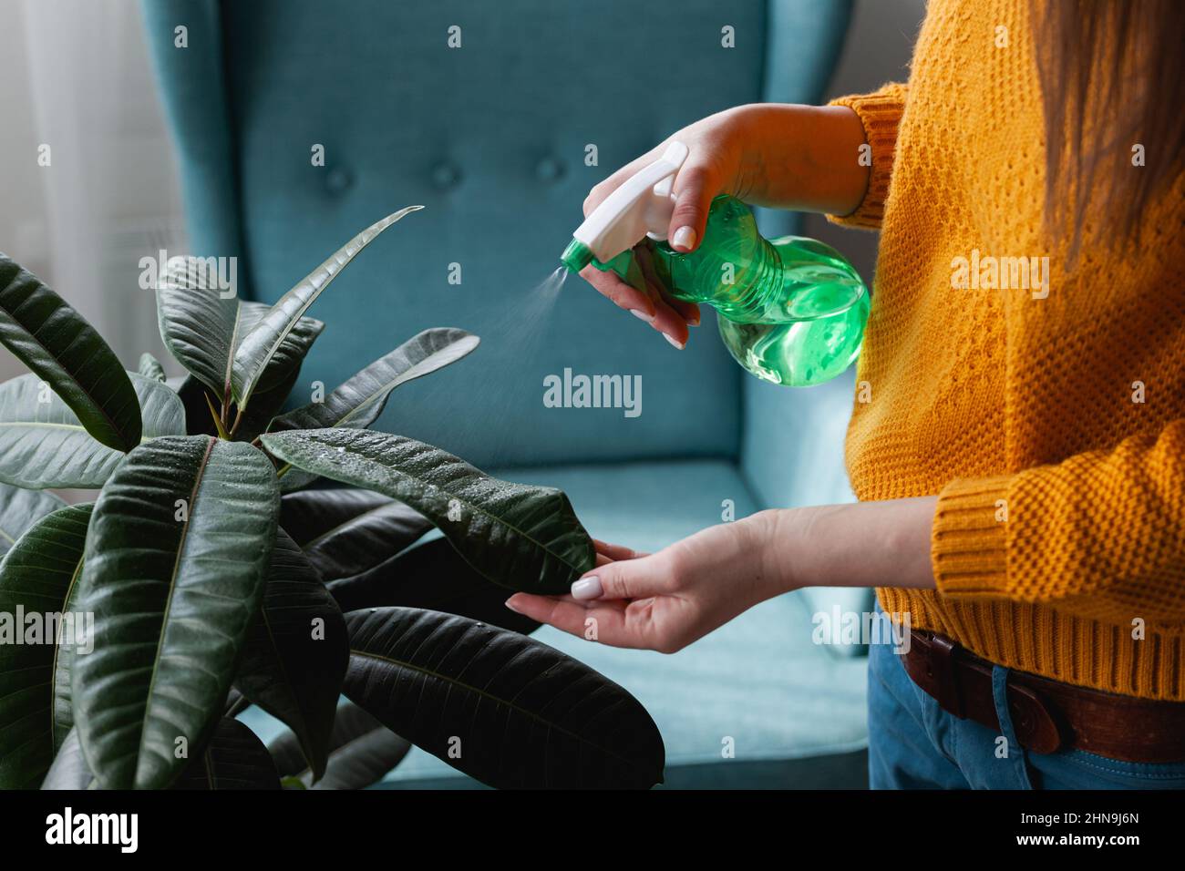 Spraying houseplant hi-res stock photography and images - Alamy
