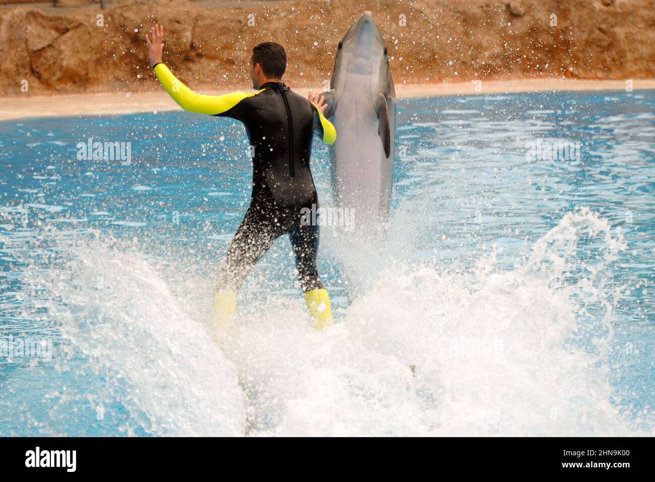 Man and dolphin in waterpark Stock Photo - Alamy