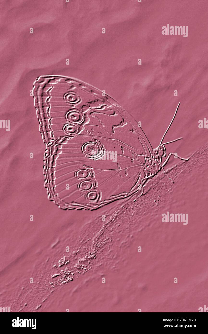Embossed image hi-res stock photography and images - Alamy