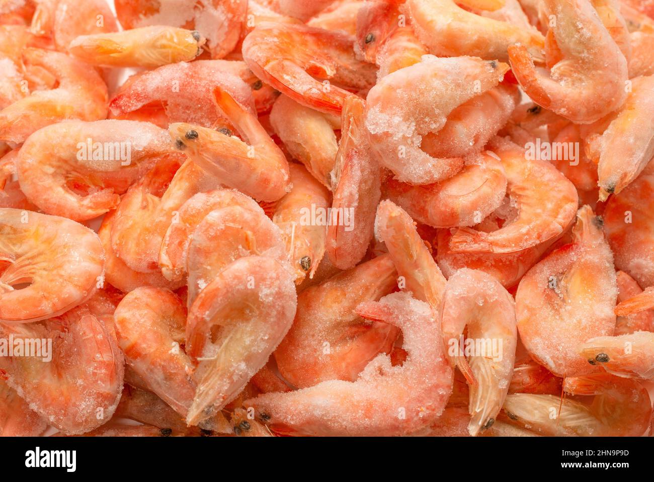 Royal red shrimp raw shrimp hi-res stock photography and images - Alamy