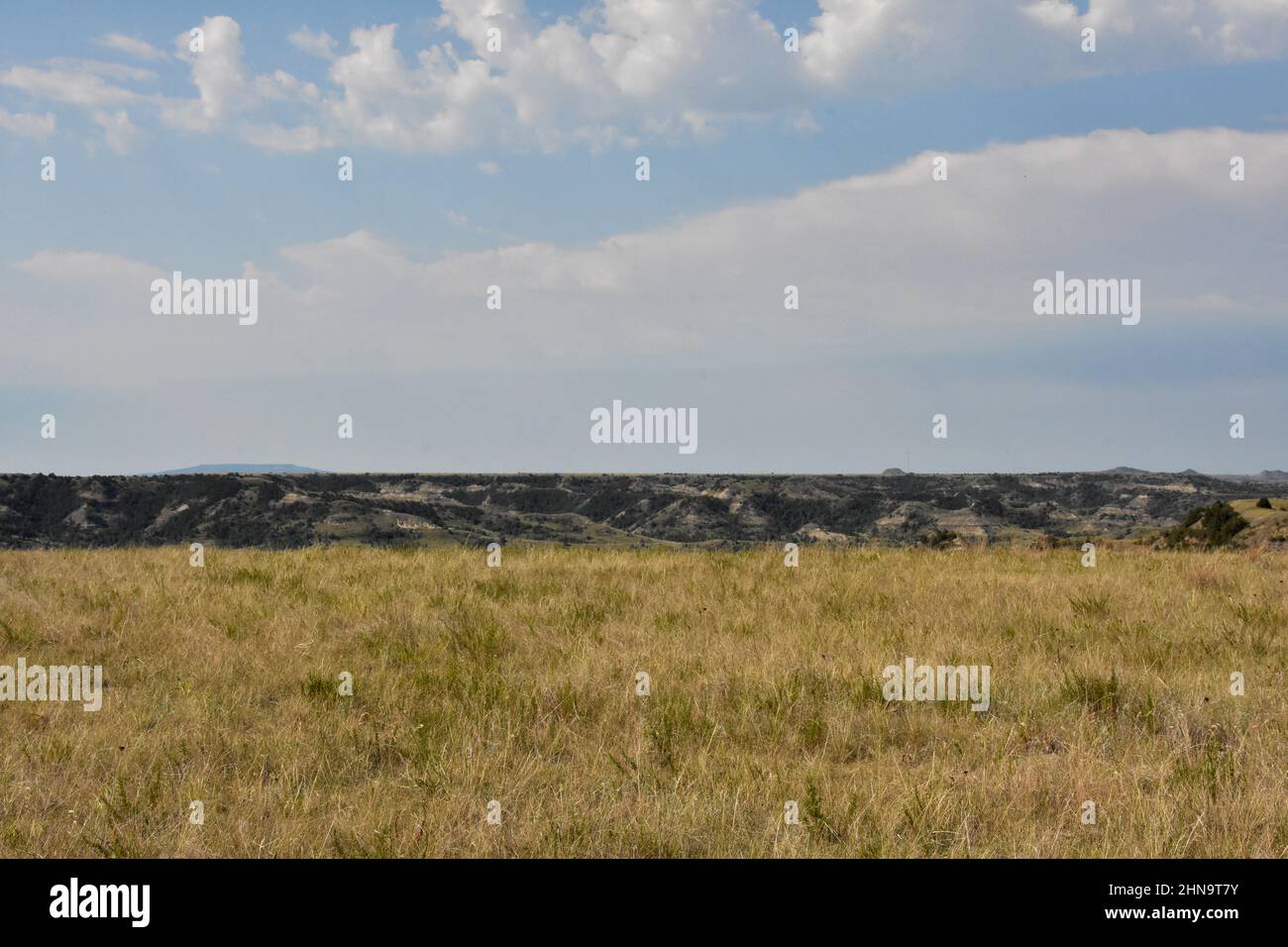 Stunning grasslands and a canyon view in the rural midwest Stock Photo ...