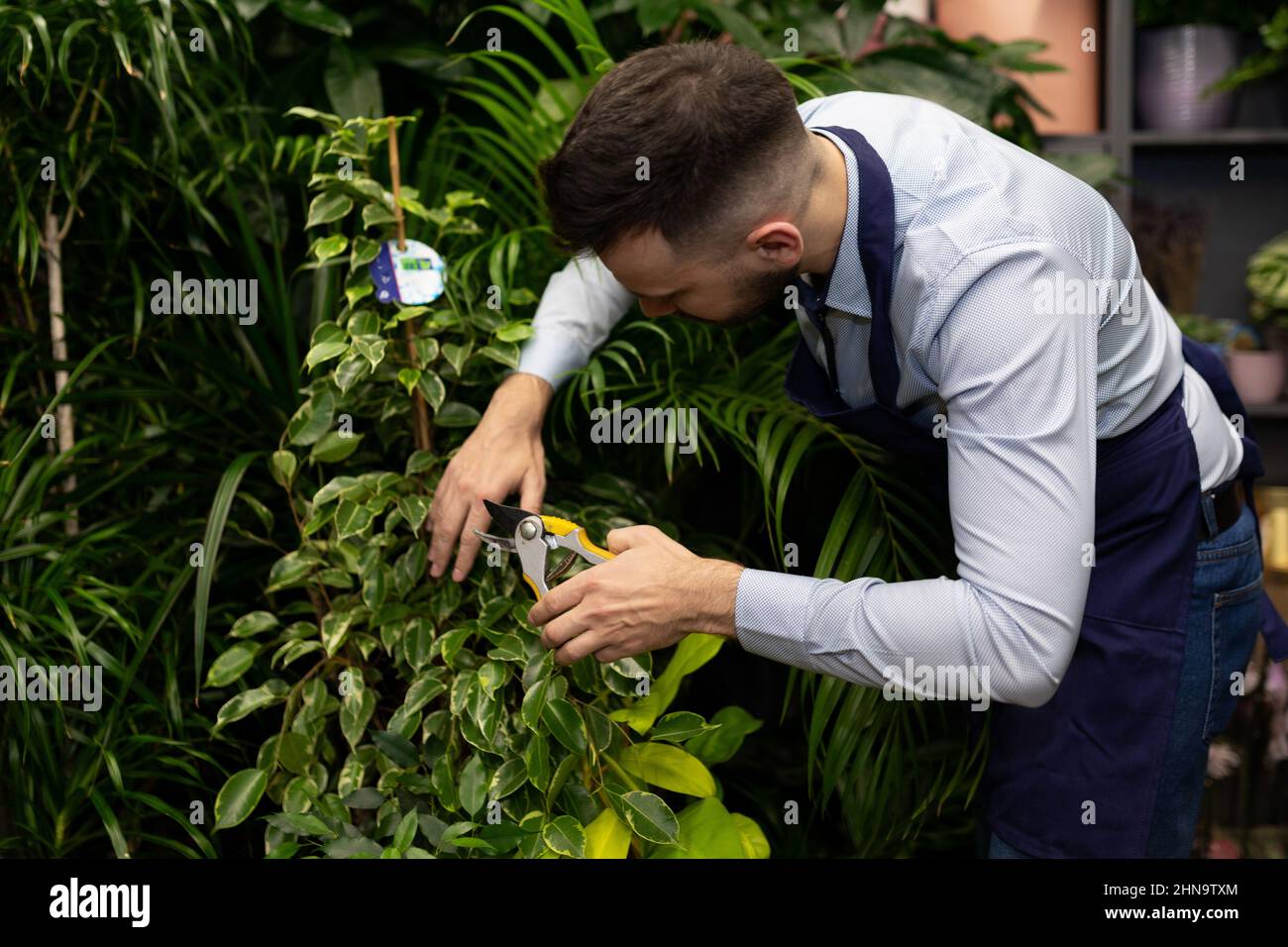 flower warehouse worker at a garden center caring for plants Stock ...
