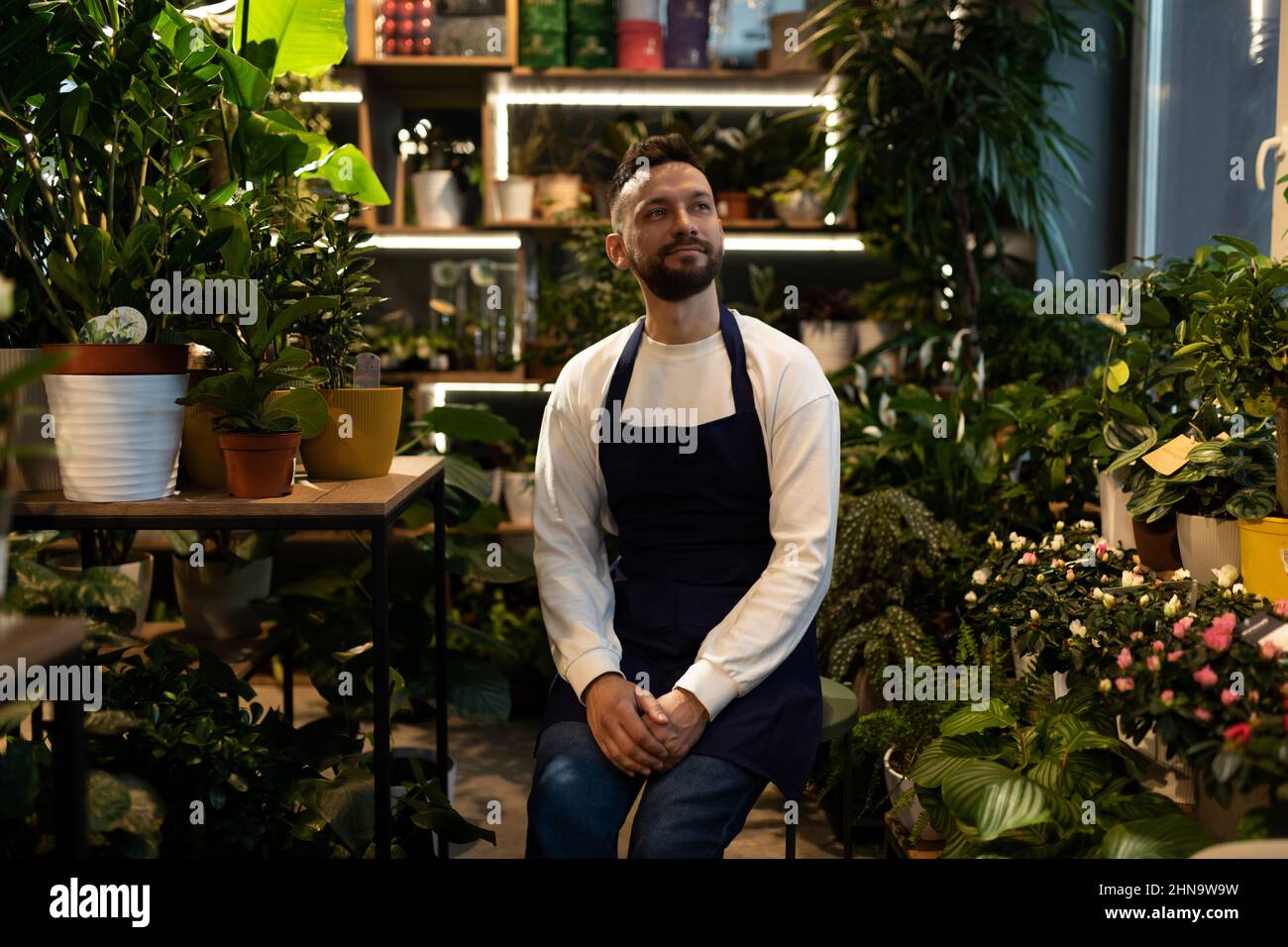 successful businessman florist in flower warehouse among potted plants ...