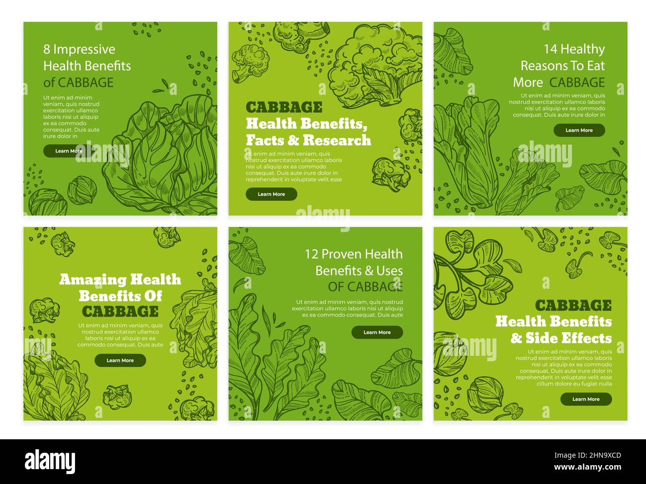 Cabbage with healthy benefits, social media set Stock Vector Image ...