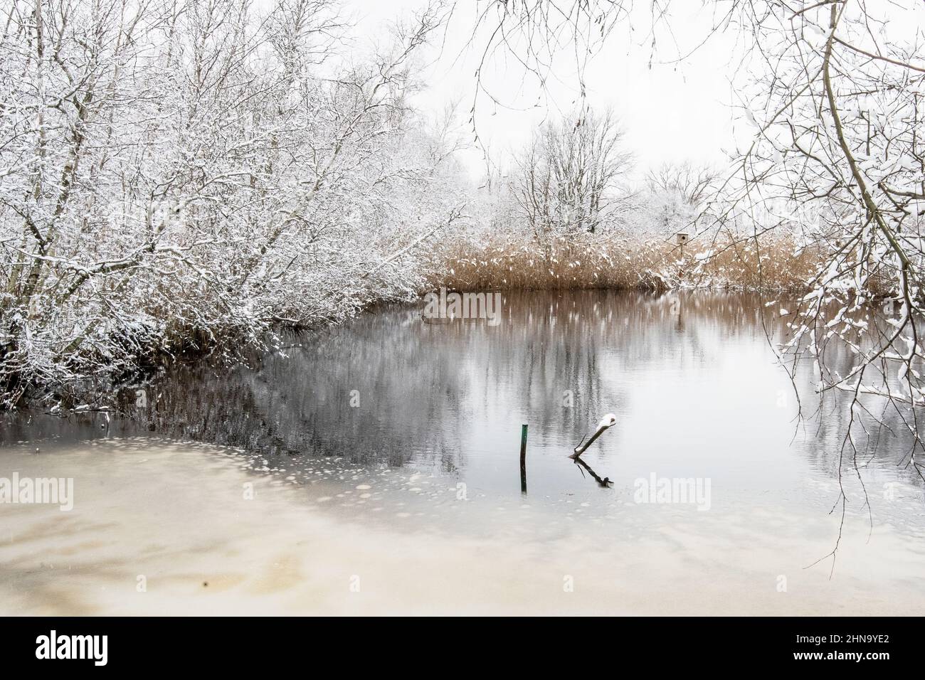 Winter snow scenic and pond Stock Photo - Alamy