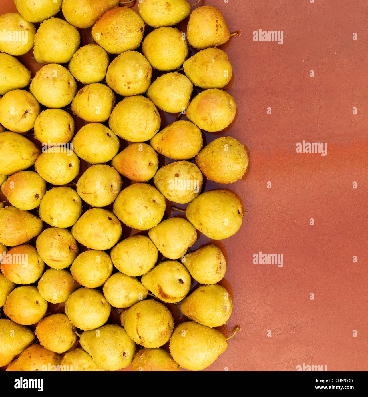 Many pears arranged in rows and columns on a brown background Stock ...