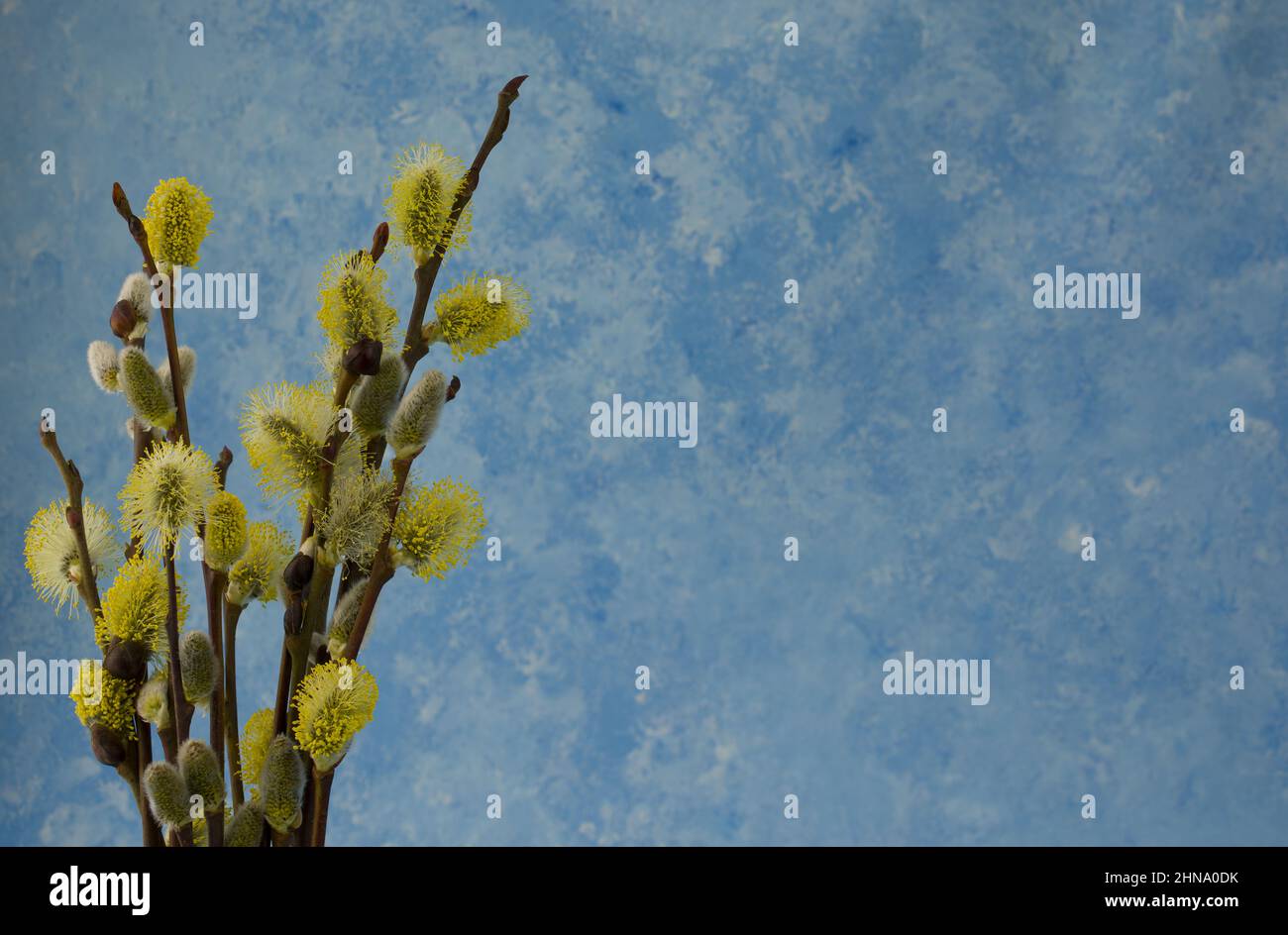 beautiful spring background with flowers and leaves Stock Photo - Alamy