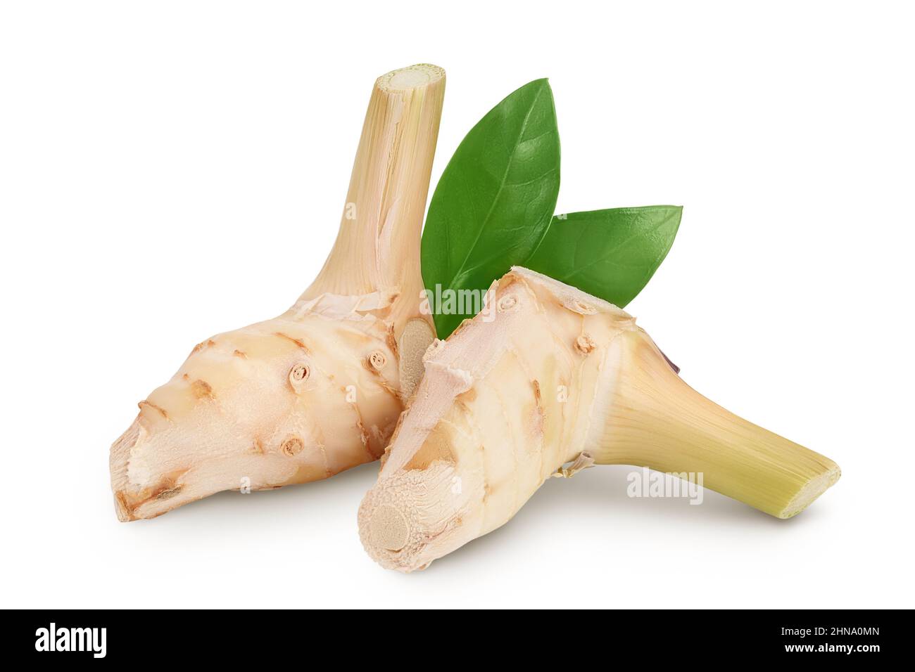 Fresh galangal root isolated on white background with clipping path and ...