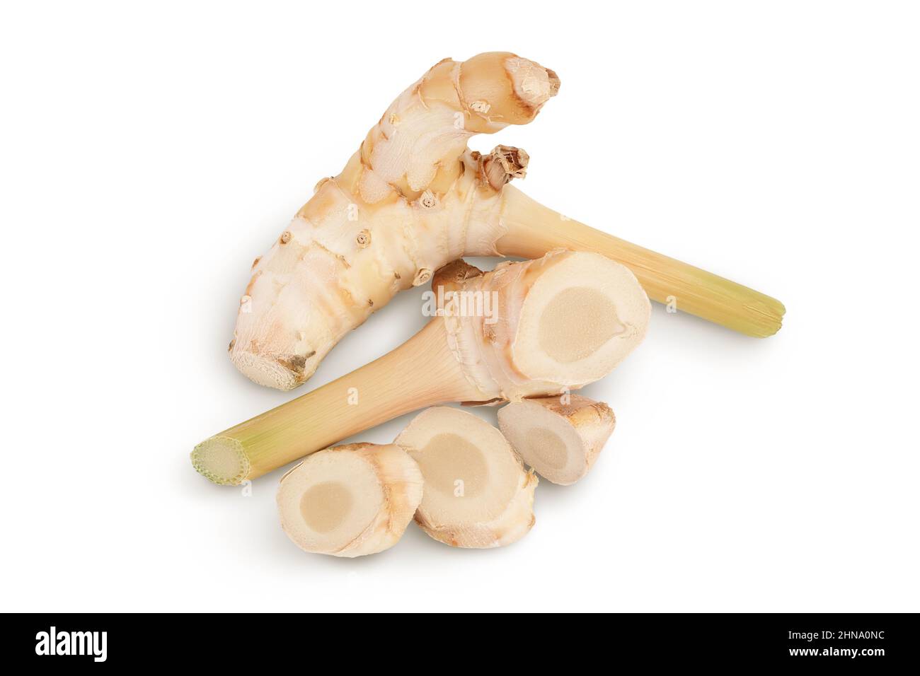Fresh galangal root with slices isolated on white background with ...