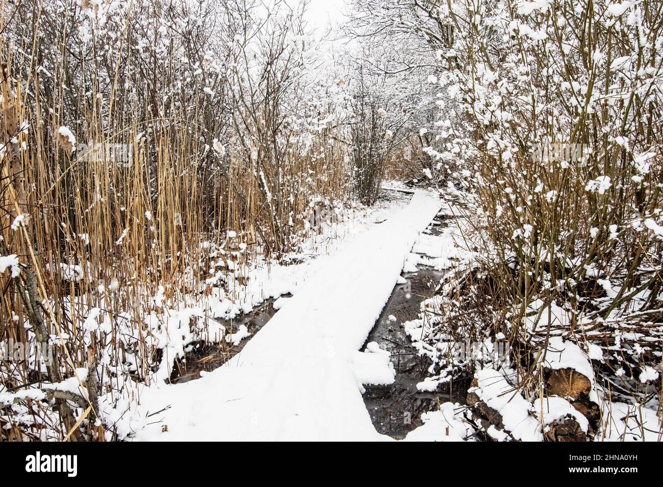 Jamaica bay salt marsh hi-res stock photography and images - Alamy