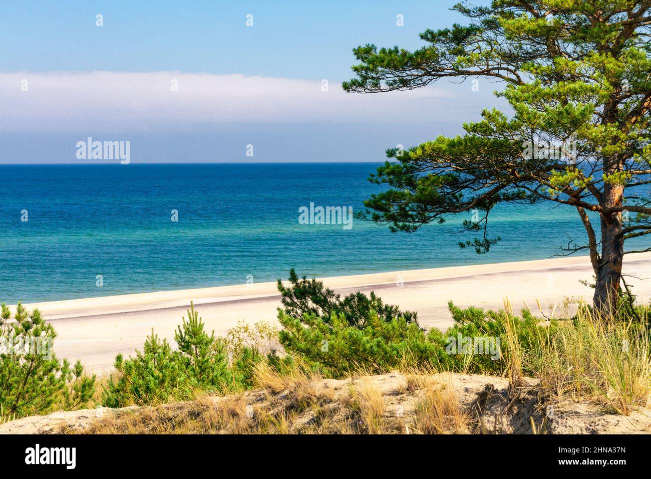 Baltic peninsula hi-res stock photography and images - Alamy