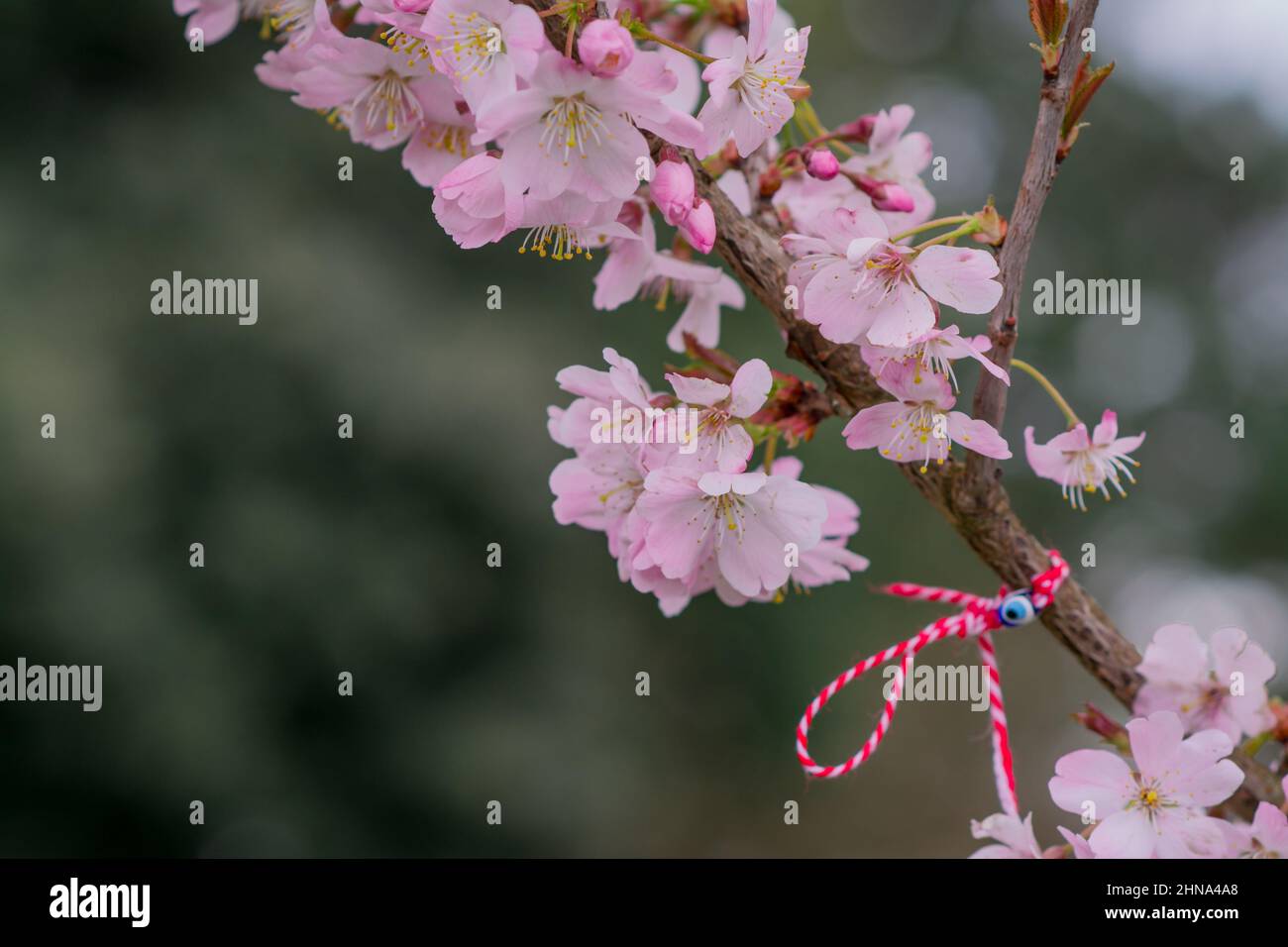 beautiful spring background with flowers and leaves Stock Photo - Alamy