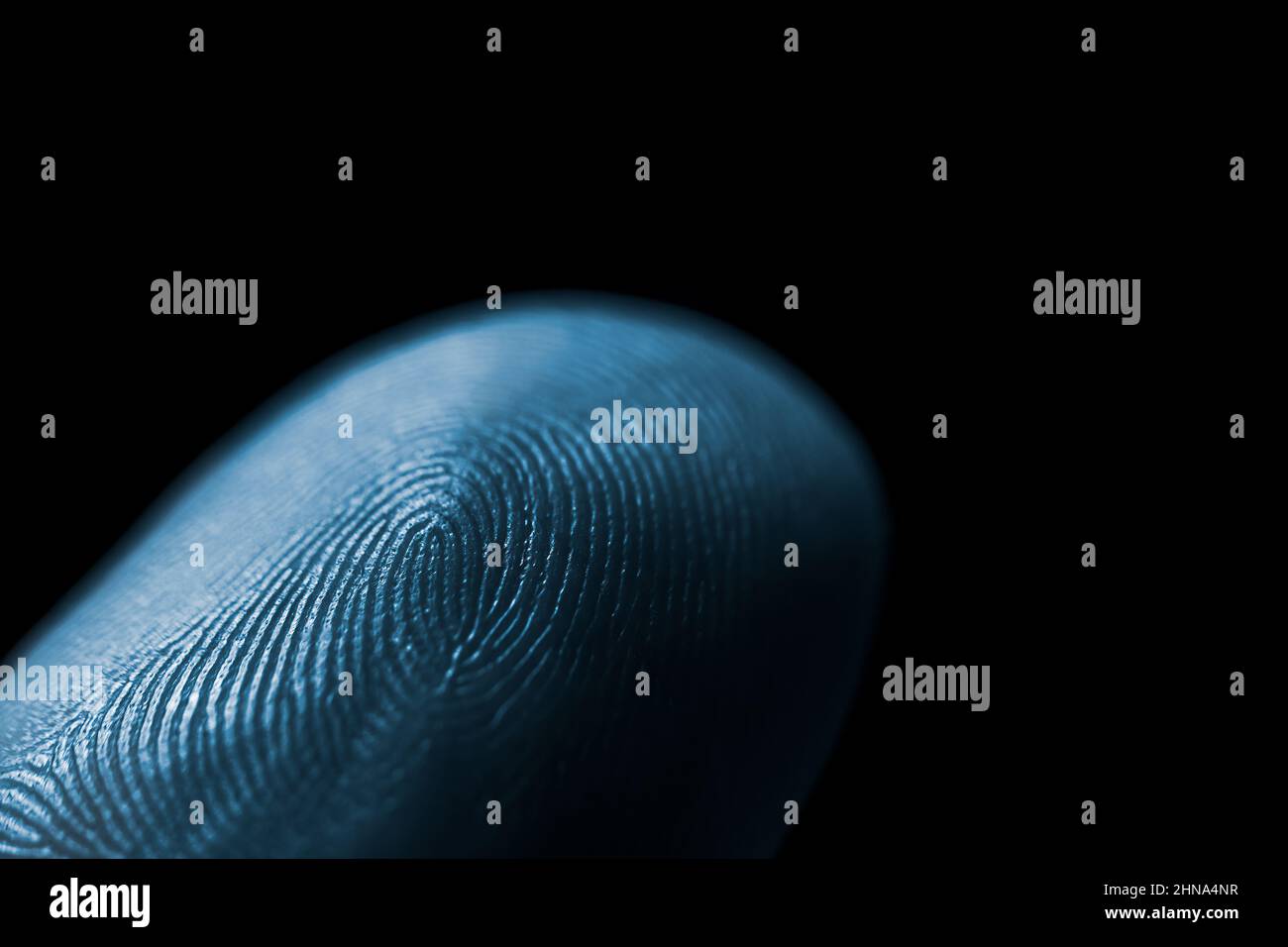 Close-up of blue color fingerprint texture of finger skin Stock Photo ...