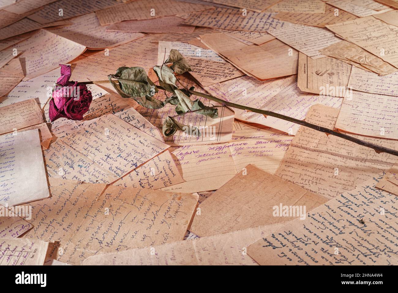 A withered red rose lying on a pile of old letters. Memories, family ...
