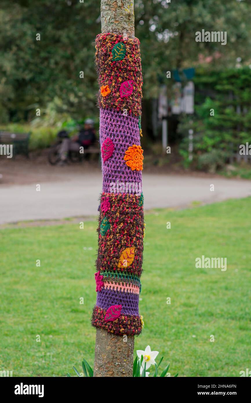 Unusual tree cover in park Stock Photo - Alamy