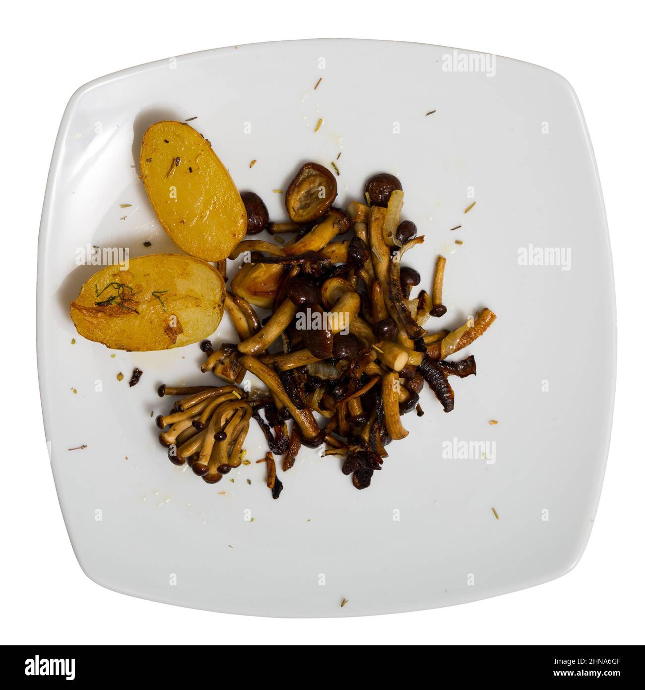 Delicious cooked fried honey fungus mushrooms with young potatoes Stock ...