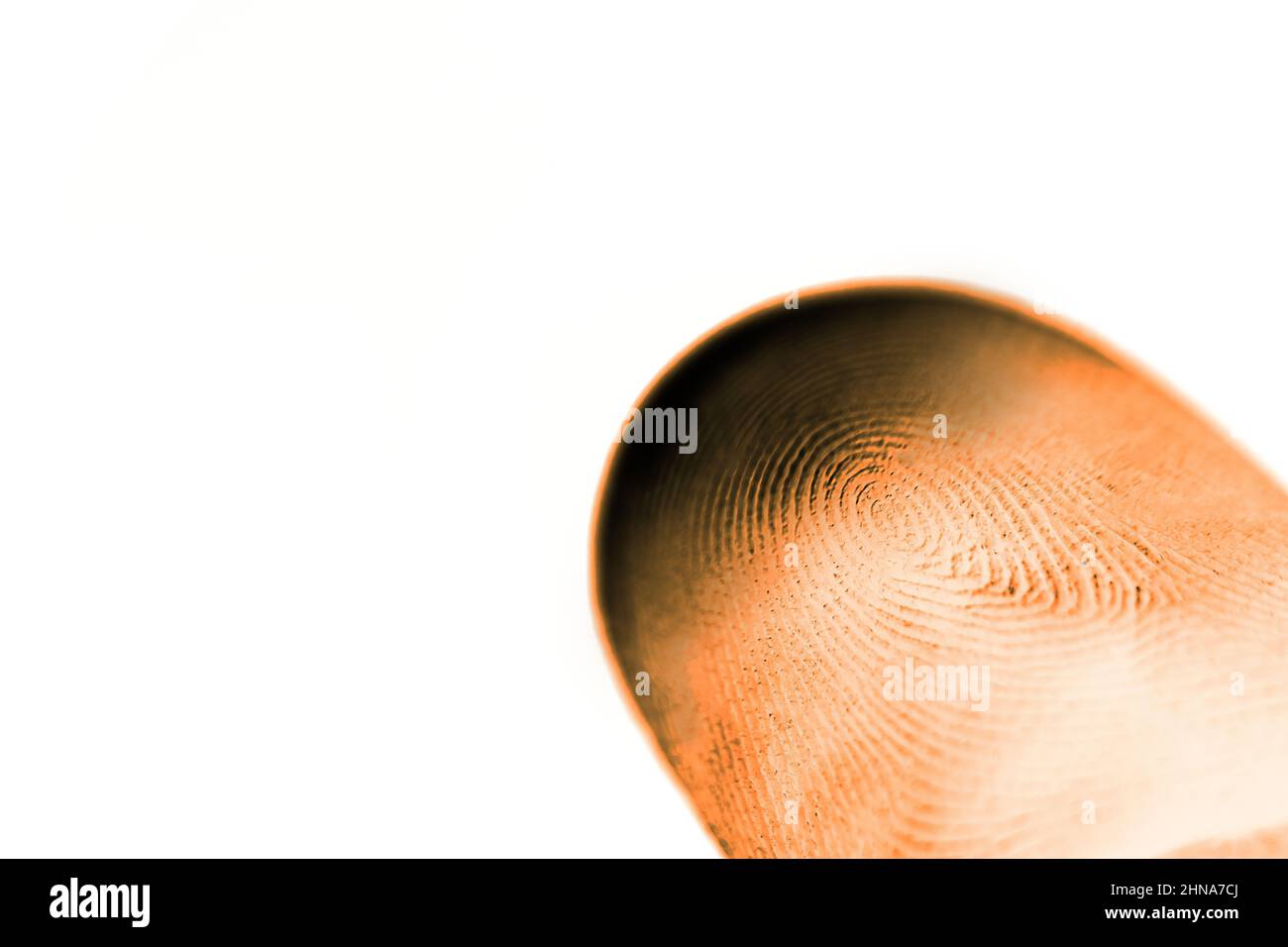 Close-up of red fingerprint scan texture in white background Stock ...