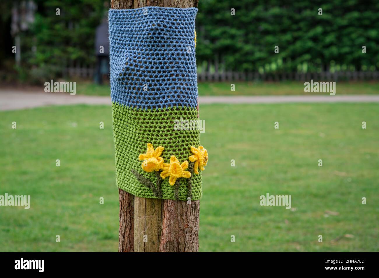 Unusual tree cover in park Stock Photo - Alamy
