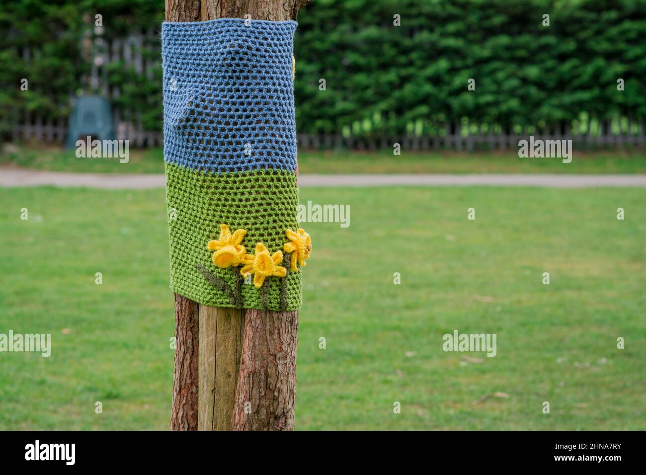 Unusual tree cover in park Stock Photo - Alamy