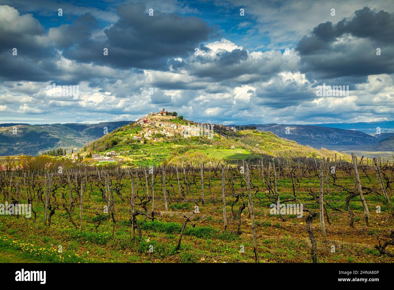 The Motovun, old mediterranean town with the surrounding countryside on ...