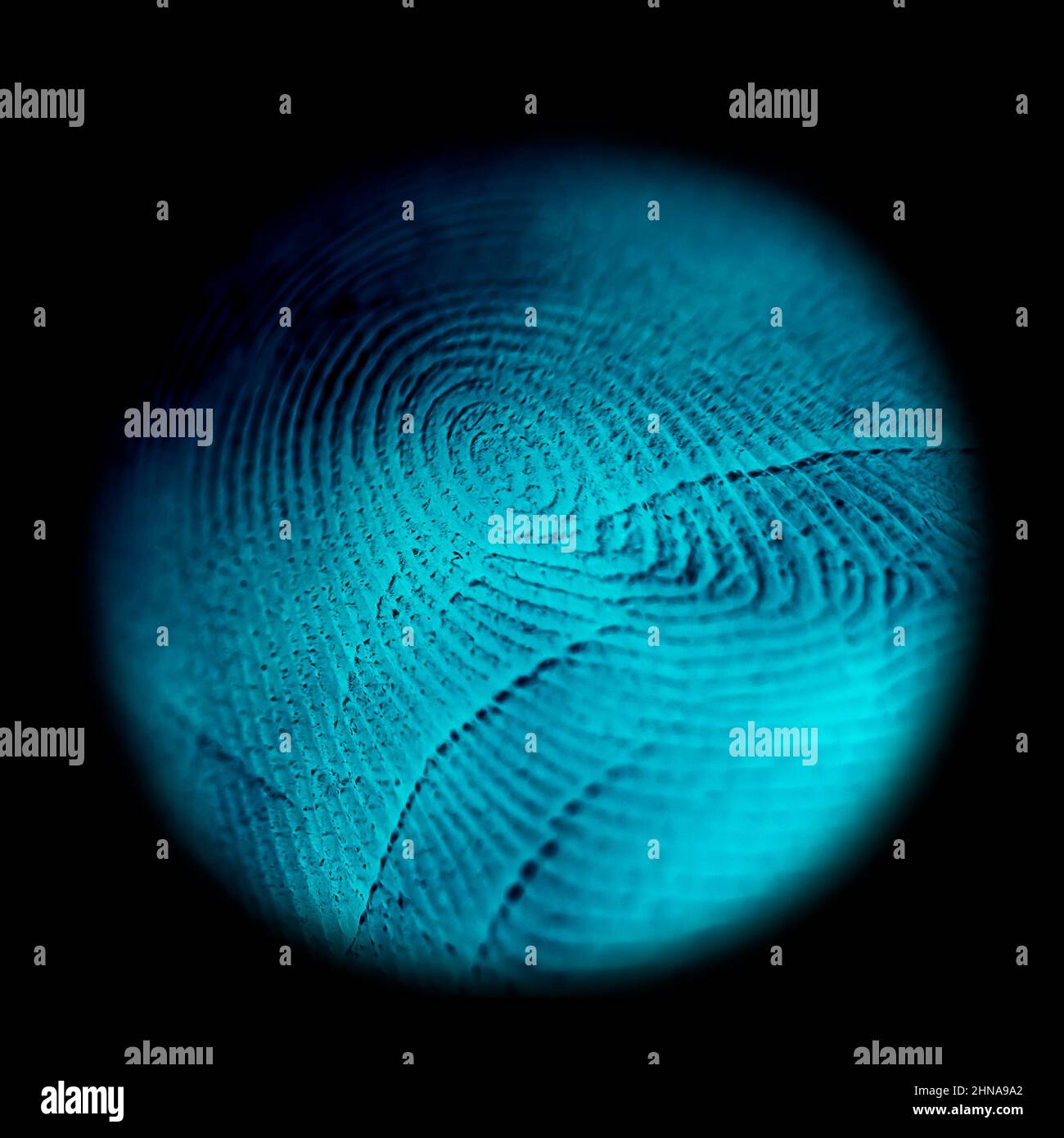 Close-up of blue color fingerprint texture of finger skin Stock Photo ...