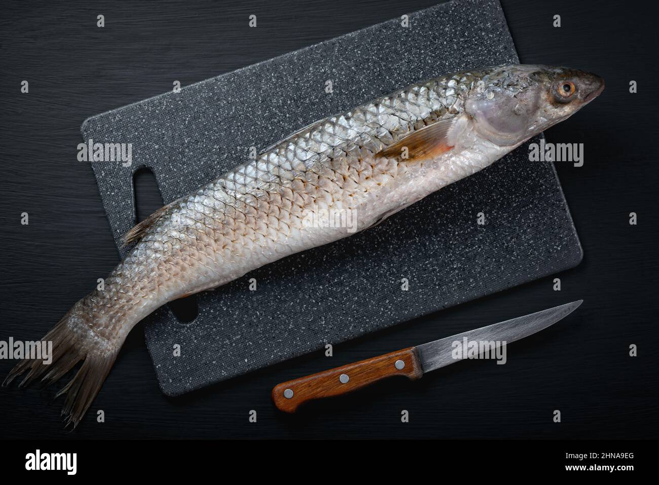 Fresh ready to cook raw mullet on a dark background. Top view Stock ...