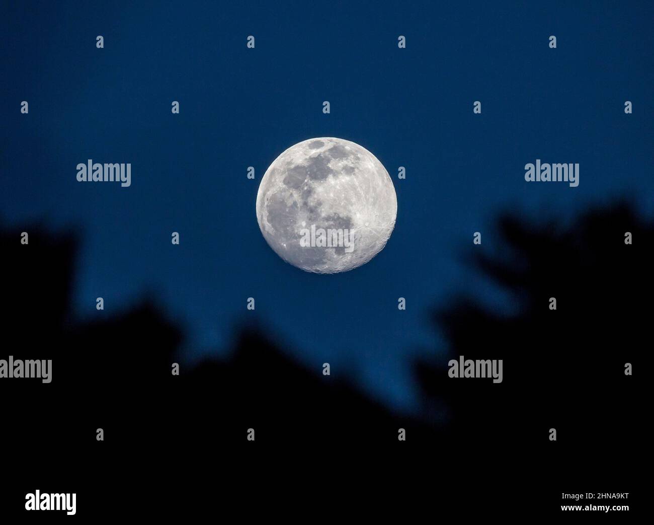 Full moon moonrise hi-res stock photography and images - Alamy