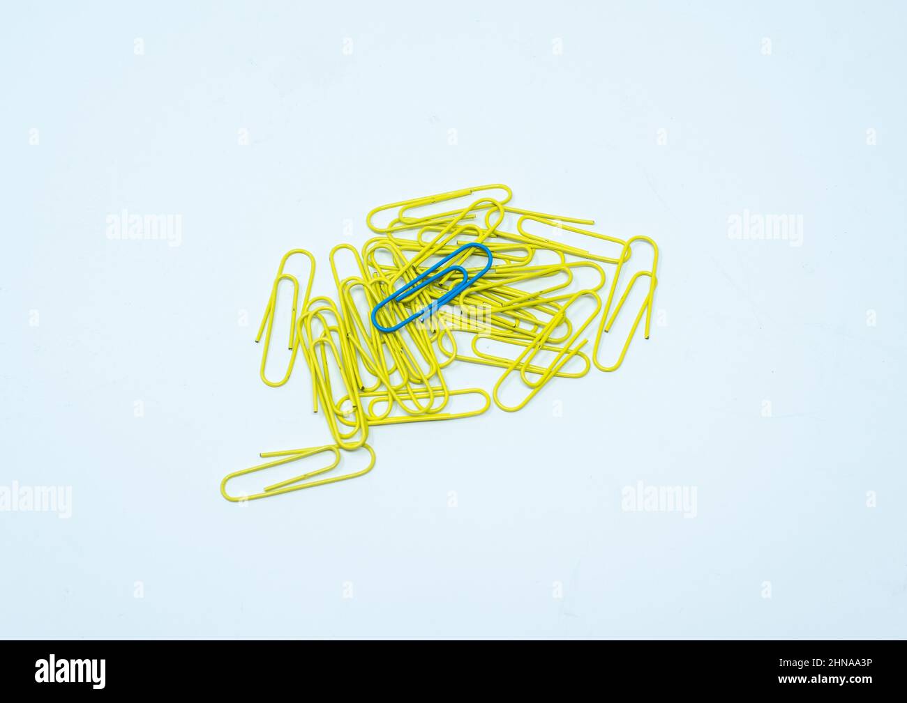 Multi coloured, blue and yellow paper clips in a pile on a plain white ...