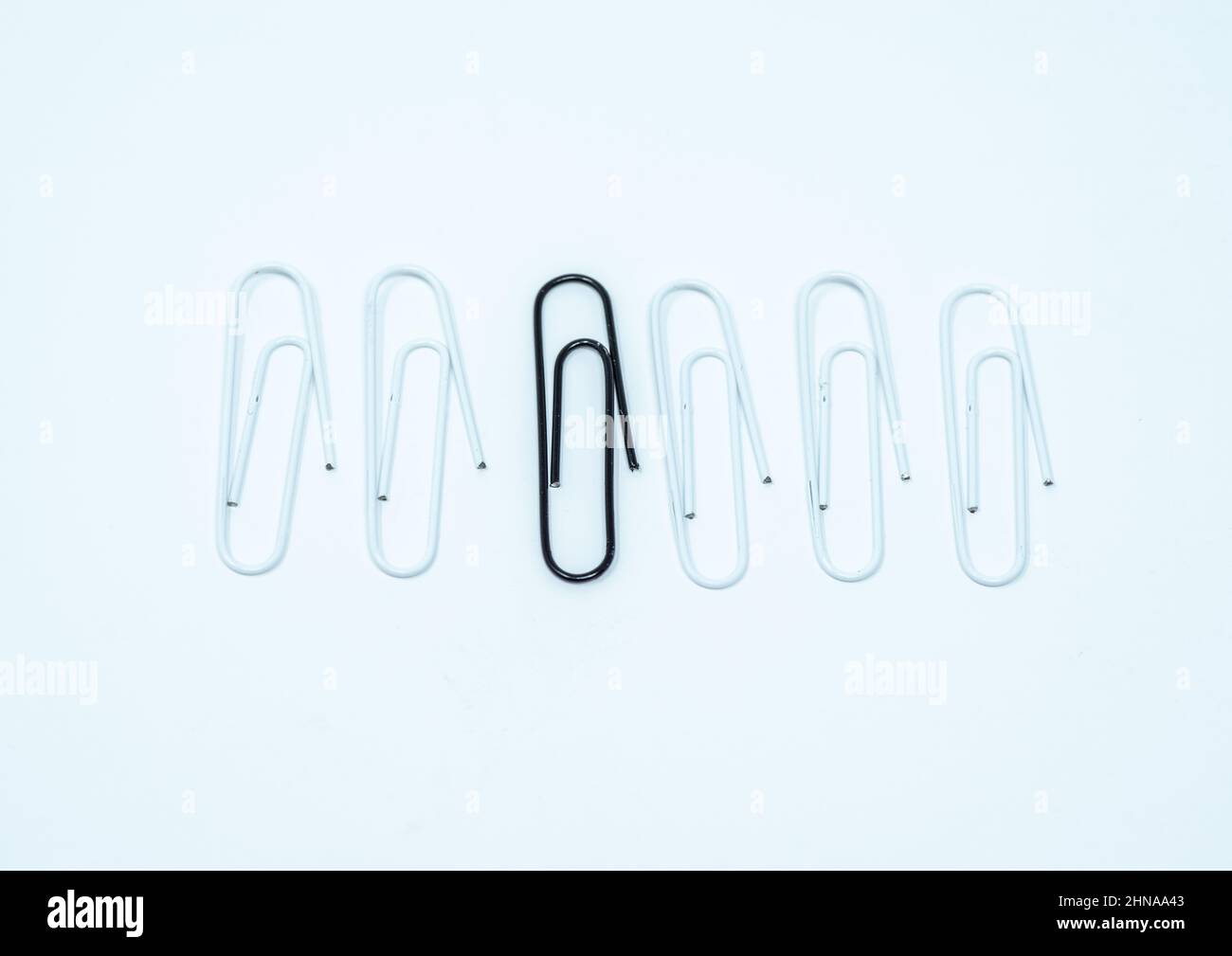 A line of paper clips 5 white and one black on a plain white background ...
