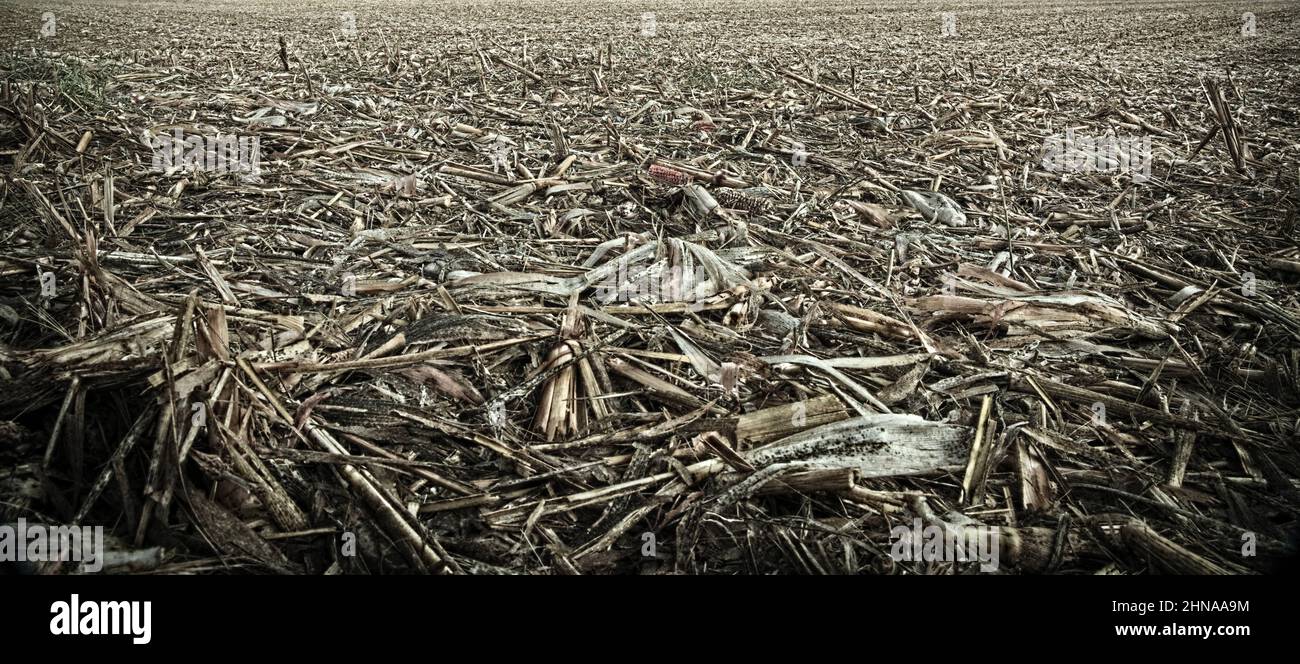it was here Stock Photo - Alamy