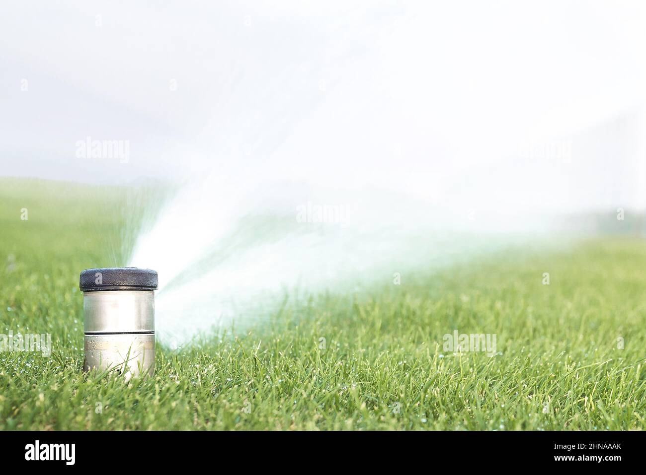 Automatic system of watering the green lawn on the football field Stock ...