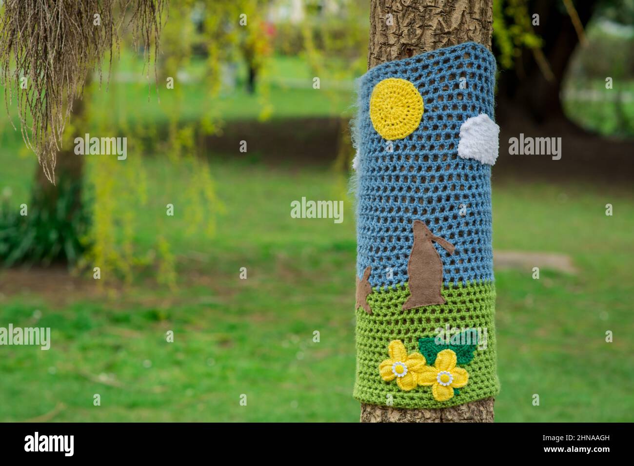 Unusual tree cover in park Stock Photo - Alamy